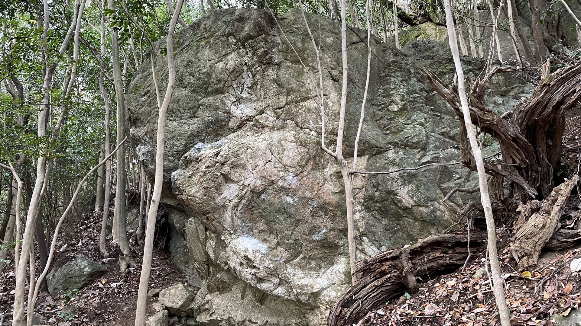 2021/12/4 備忘録 兵庫某所 ... / One Hopeさんのモーメント | YAMAP / ヤマップ