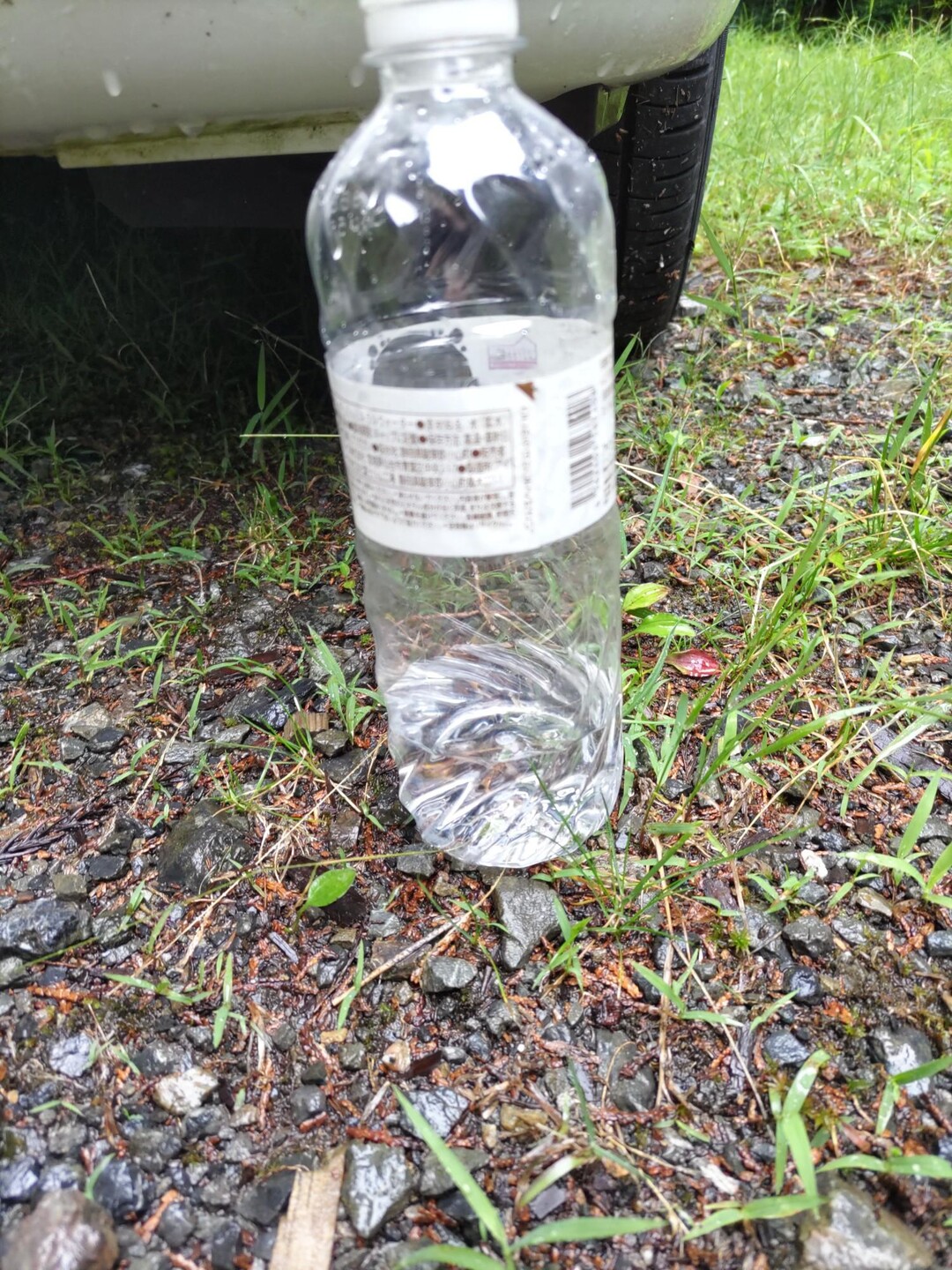 弱り目に祟り目 / Tonaeさんの和名倉山・笠取山・東仙波の活動データ | YAMAP / ヤマップ