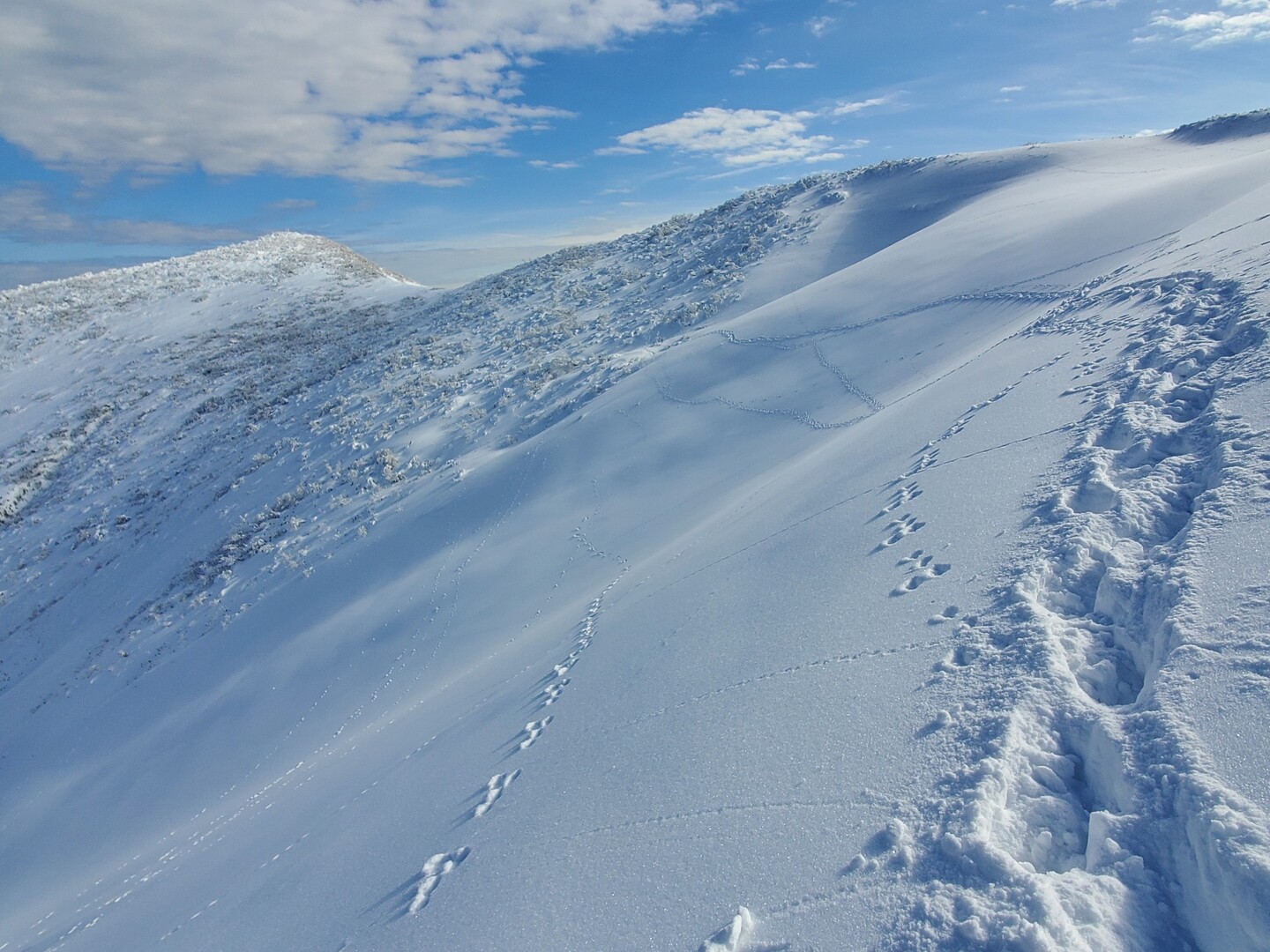 新雪の浅草岳 2020-12-10 / sakaさんの浅草岳・鬼ヶ面山の活動データ | YAMAP / ヤマップ