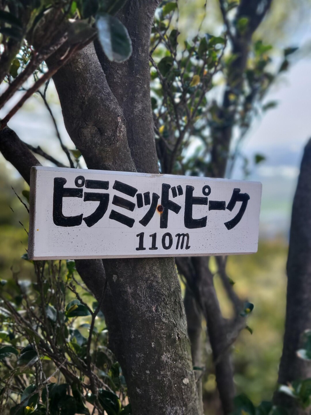 ピラミッドピークに行ってきた ～teamひなの、オトナの山歩ver.2 / ひろぽんさんの茶臼山・万灯山の活動データ | YAMAP / ヤマップ