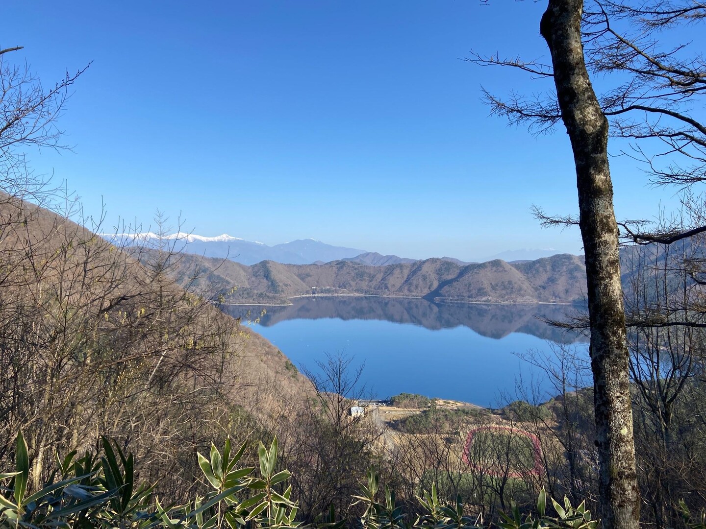 竜ヶ岳（山梨百名山） / kazu-bayさんの毛無山・雨ヶ岳・竜ヶ岳の活動データ | YAMAP / ヤマップ