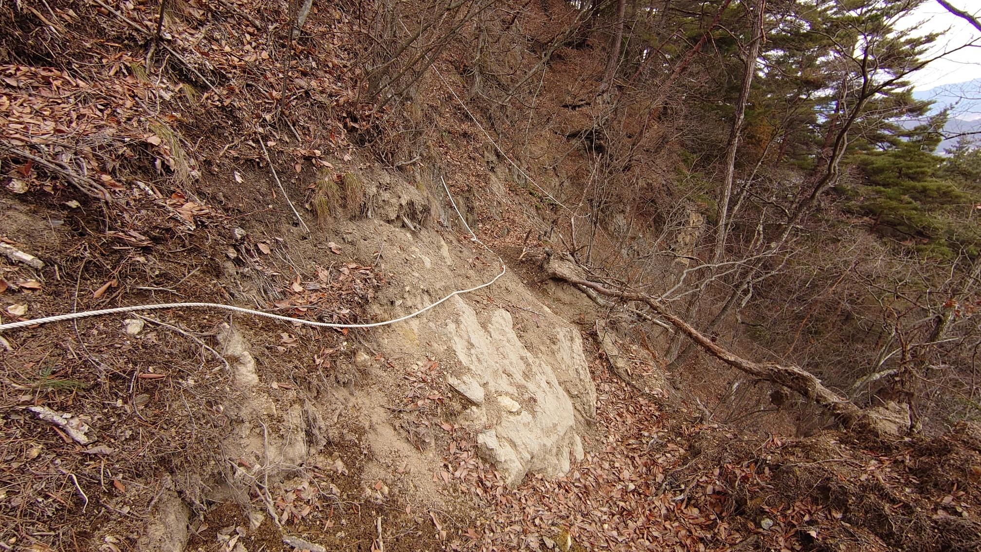 Ryuさんの投稿したフィールドメモ | YAMAP / ヤマップ