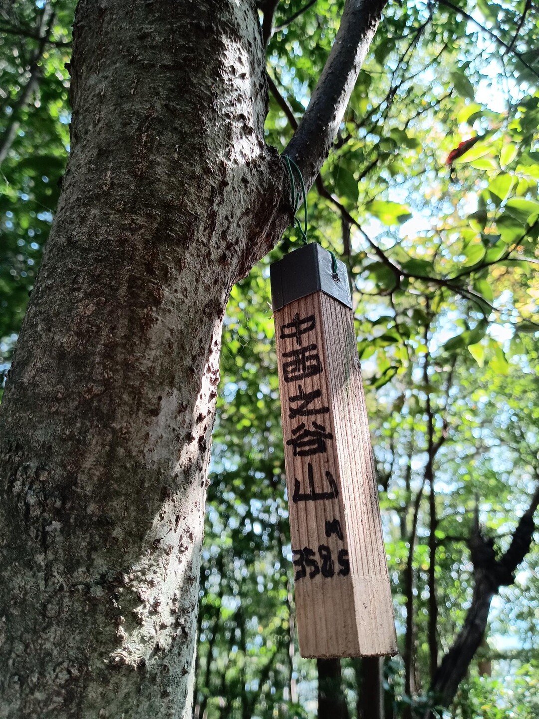 横根沢山→中西之谷山 掛川市原田 / k54さんの八高山・神尾山・大尾山の活動データ | YAMAP / ヤマップ