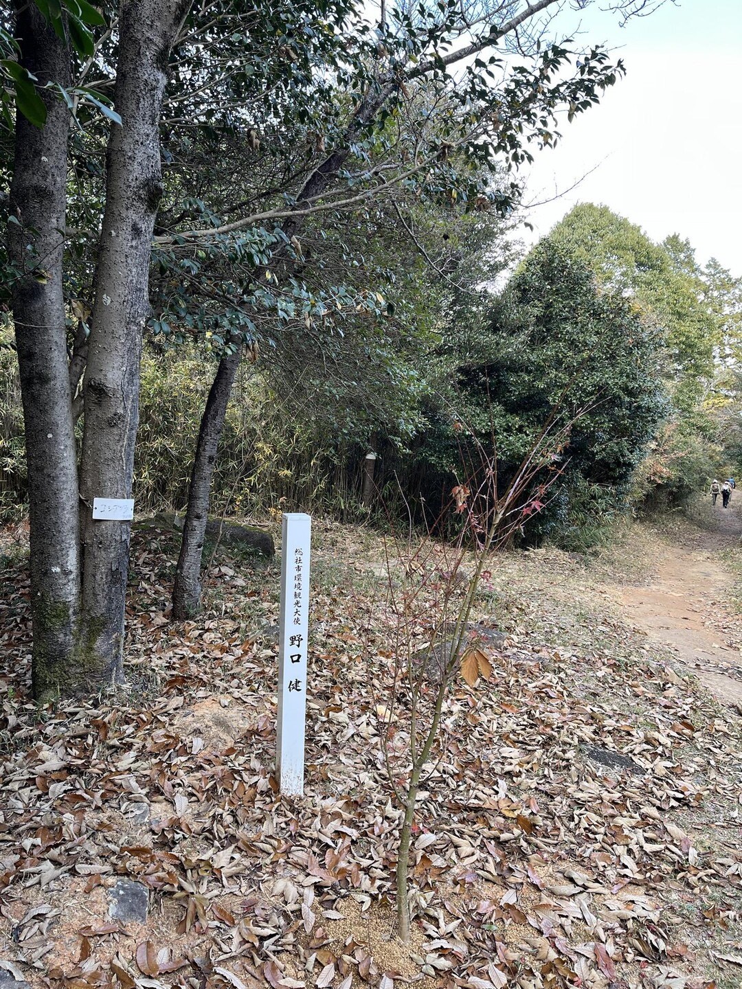 初ソロ登山 福山 / joeさんの福山・江田山・高鳥居山の活動日記 | YAMAP / ヤマップ