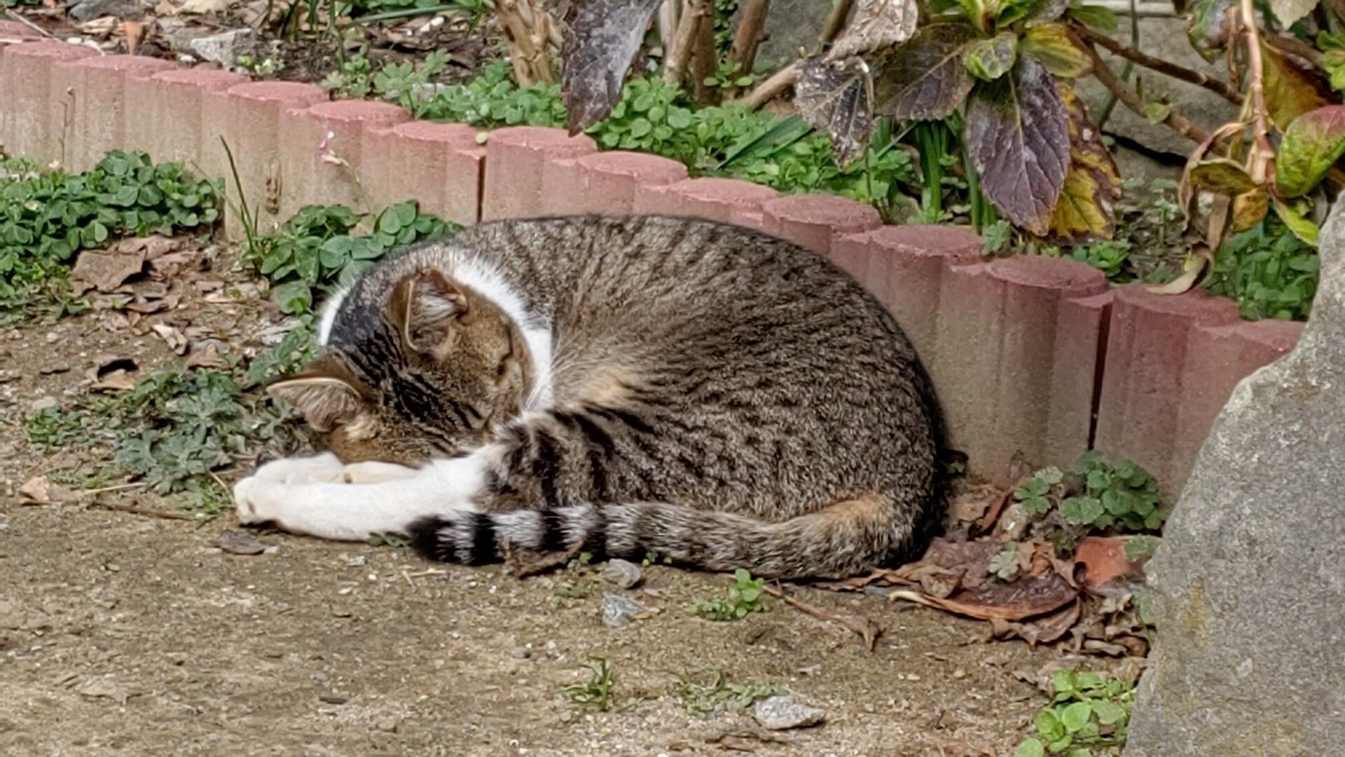 5😆愛宕山 / megさんの能古島の活動データ | YAMAP / ヤマップ