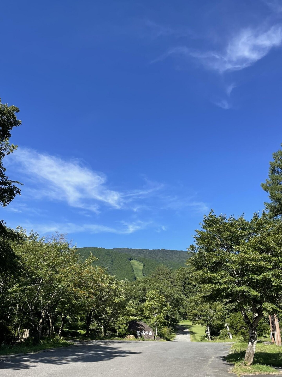 伊良谷山・毛無山 / katoさんの比婆山・立烏帽子山・吾妻山の活動データ | YAMAP / ヤマップ