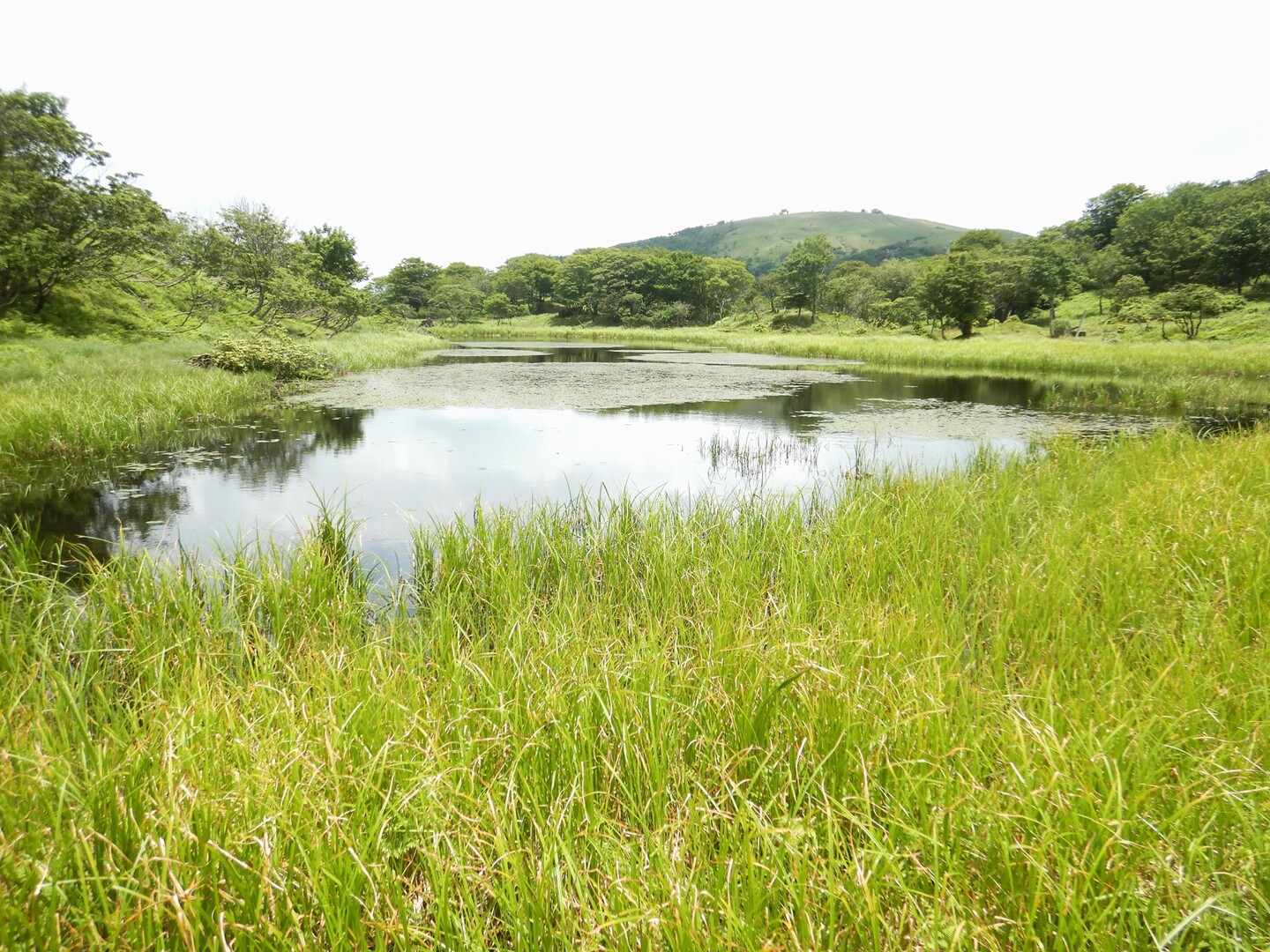 第一支稜でホッケ山 / kol-hiraさんの比良山地・武奈ヶ岳・釈迦岳の活動データ | YAMAP / ヤマップ