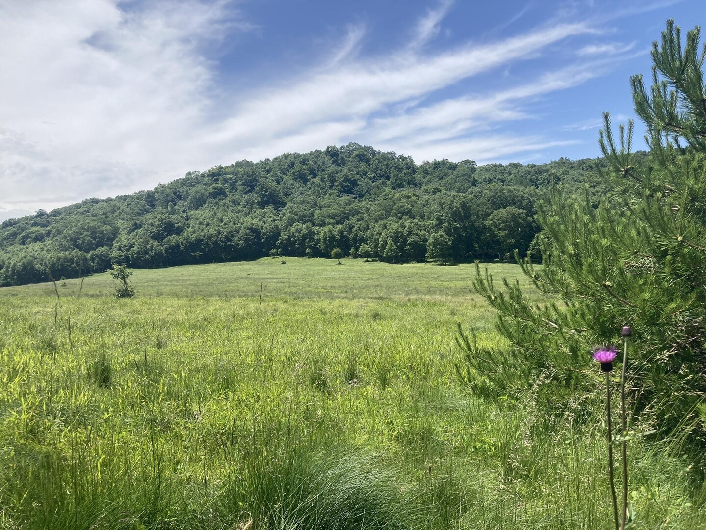 安家と遠別 / chanmikiさんの安家森の活動データ | YAMAP / ヤマップ