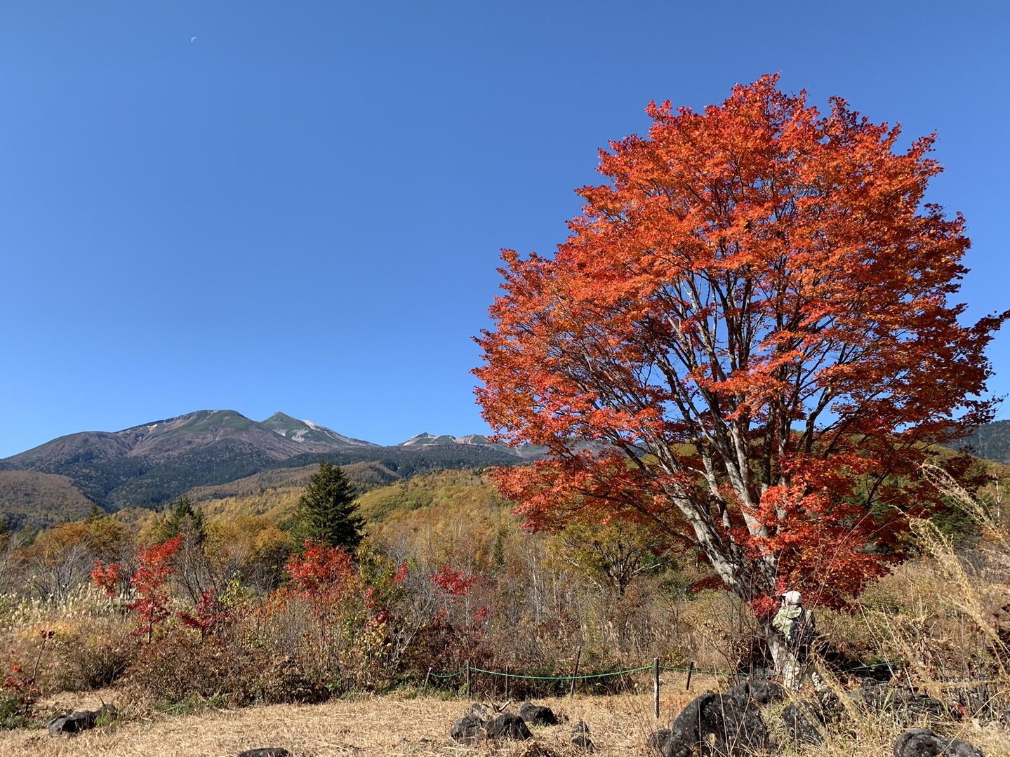 乗鞍高原 一の瀬園地 / yayaさんの乗鞍岳の活動データ | YAMAP / ヤマップ