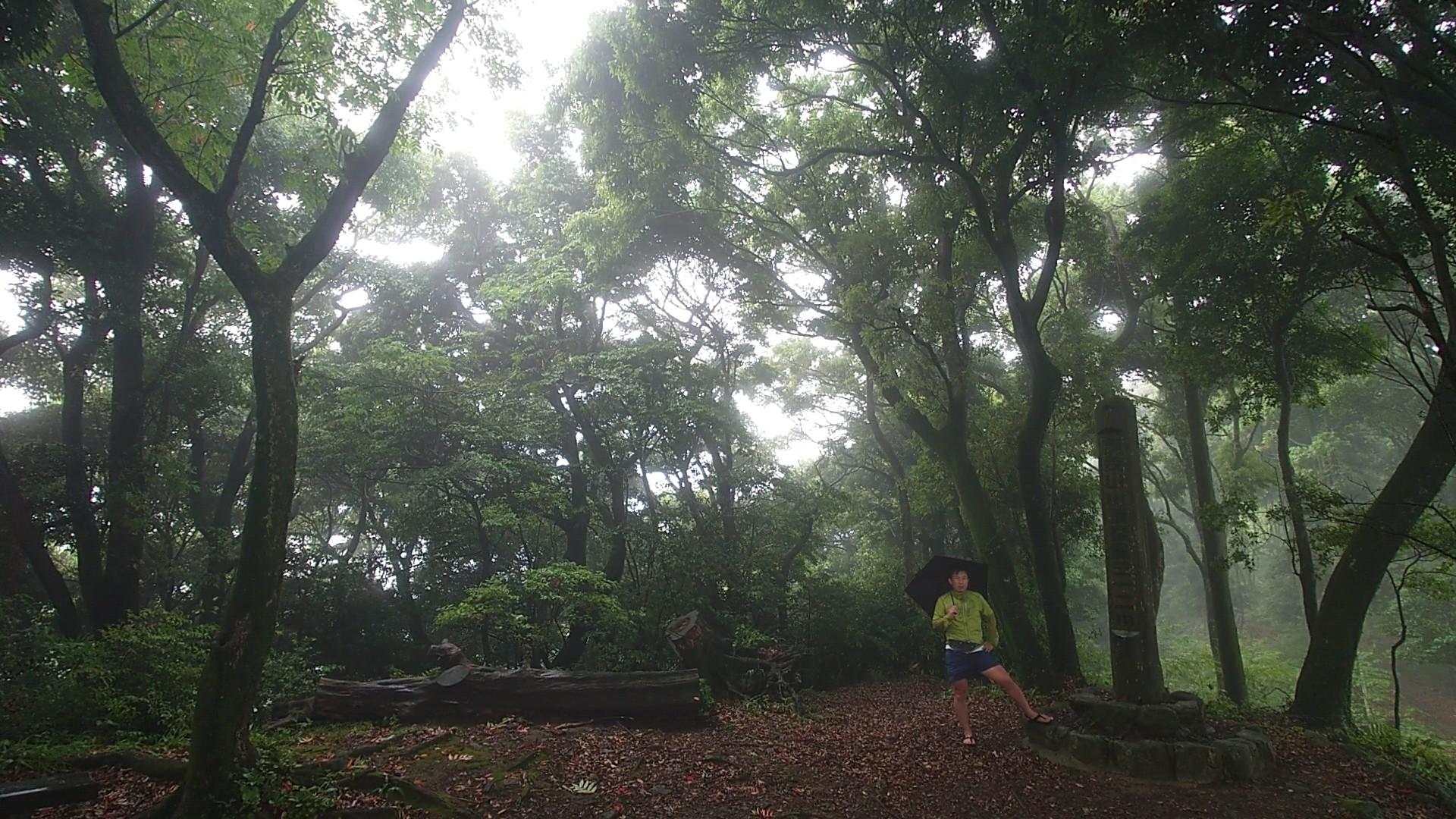月見山・高良山 / RYUさんの明星山・白金山の活動データ | YAMAP / ヤマップ