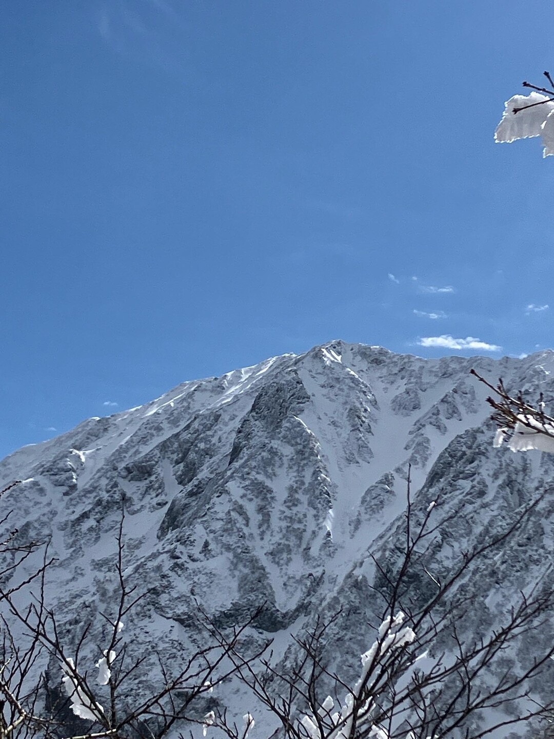 そこに大山があるから（弥山） / totoさんの大山・甲ヶ山・野田ヶ山の活動データ | YAMAP / ヤマップ