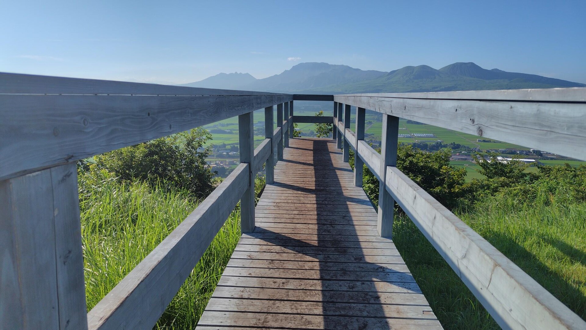 田子山 / Emily (咲梨) 𖤣𖥧𖥣｡𓂃𓈒さんの田子山の活動データ | YAMAP / ヤマップ