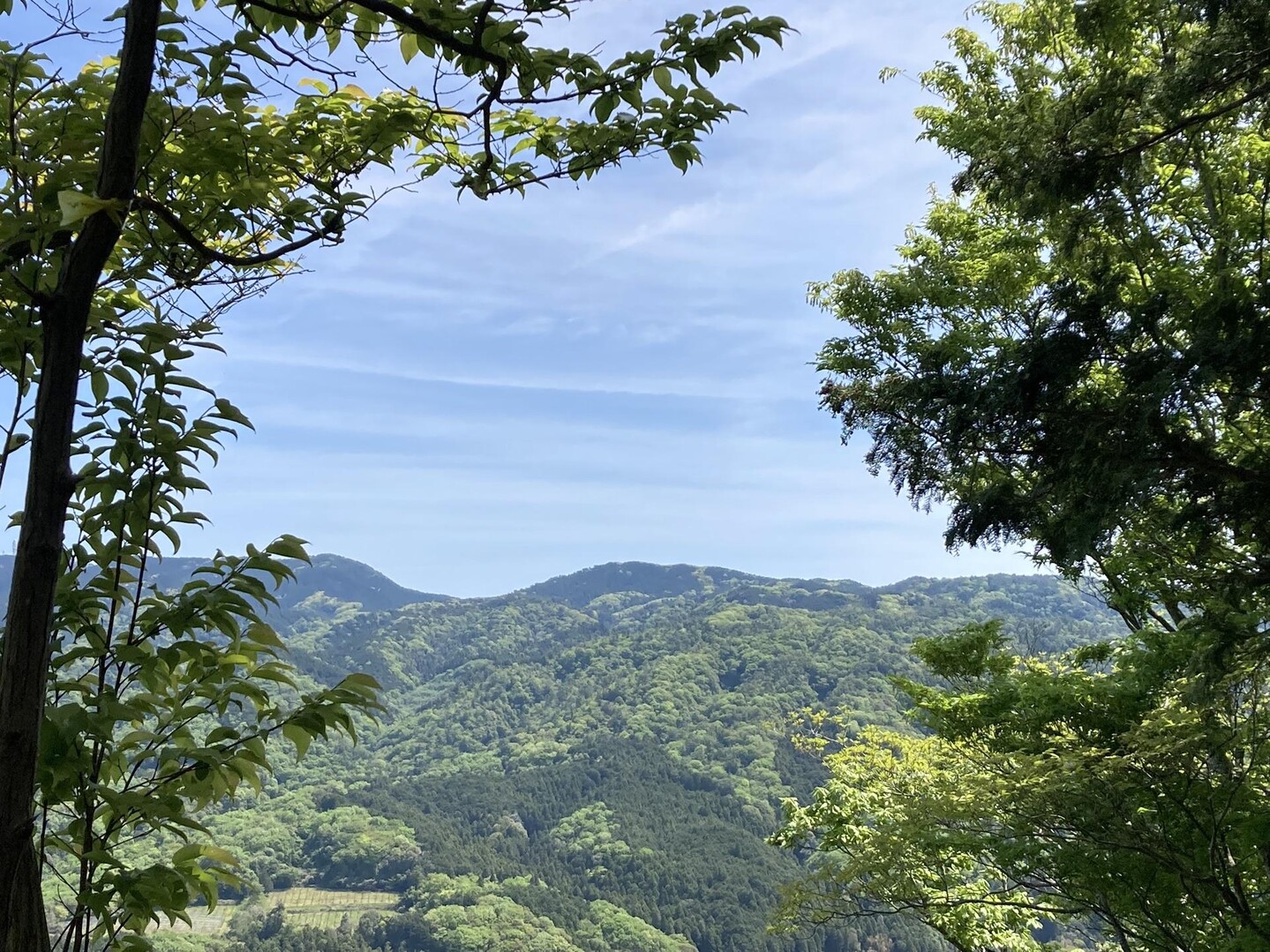 黒磯バッケ / ayさんの日立アルプストレイル・神峰山（神峯山）の活動データ | YAMAP / ヤマップ