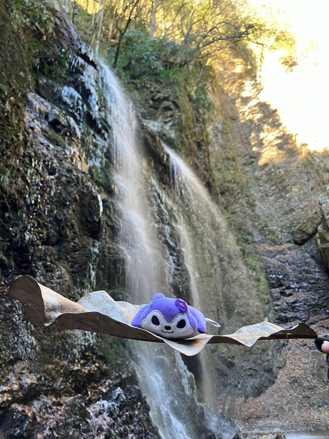 冬の芸術 ️ 今まで見たことのない美しい... / ayanonさんのモーメント | YAMAP / ヤマップ