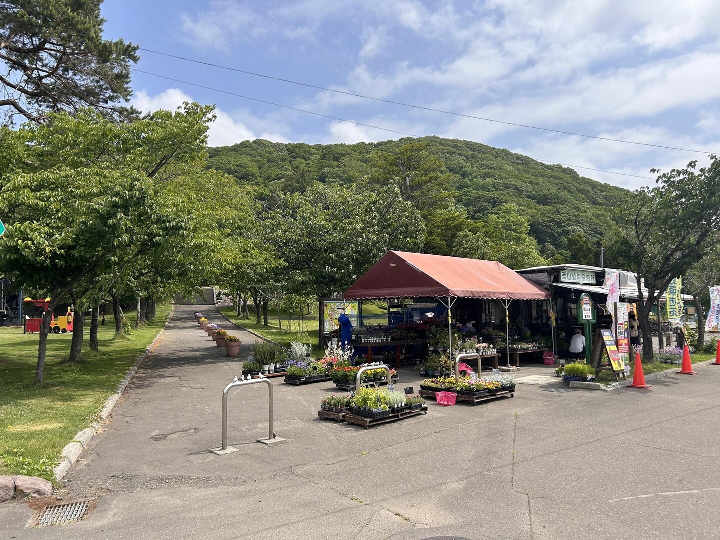 御大師山 / ike.ike.ike-ponさんの馬追丘陵・長官山・瀞台（馬追山）の活動データ | YAMAP / ヤマップ