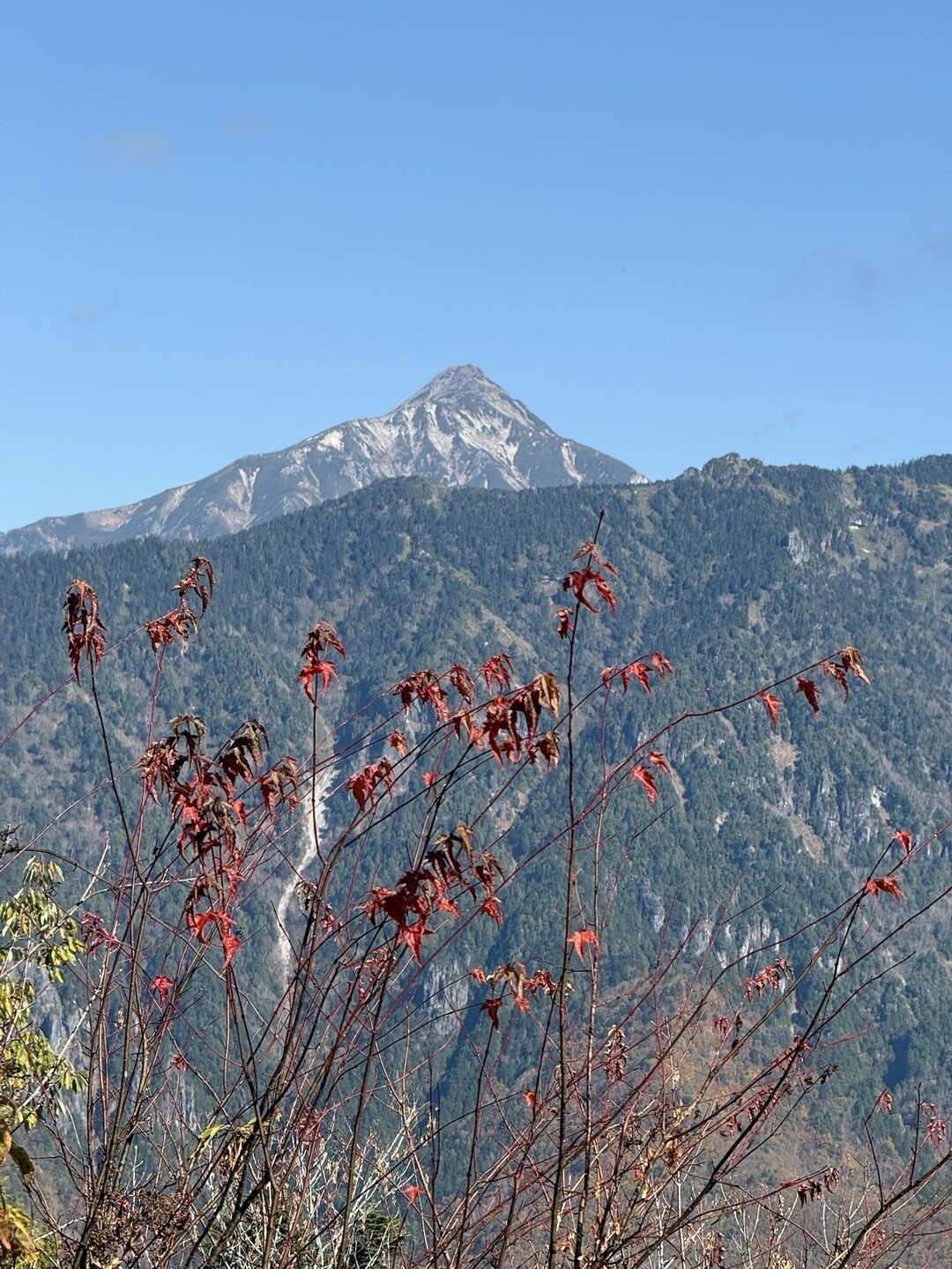 【北アルプス丸見えの山】知る人ぞ知る福地... / 岐阜旅STYLEさんのモーメント | YAMAP / ヤマップ