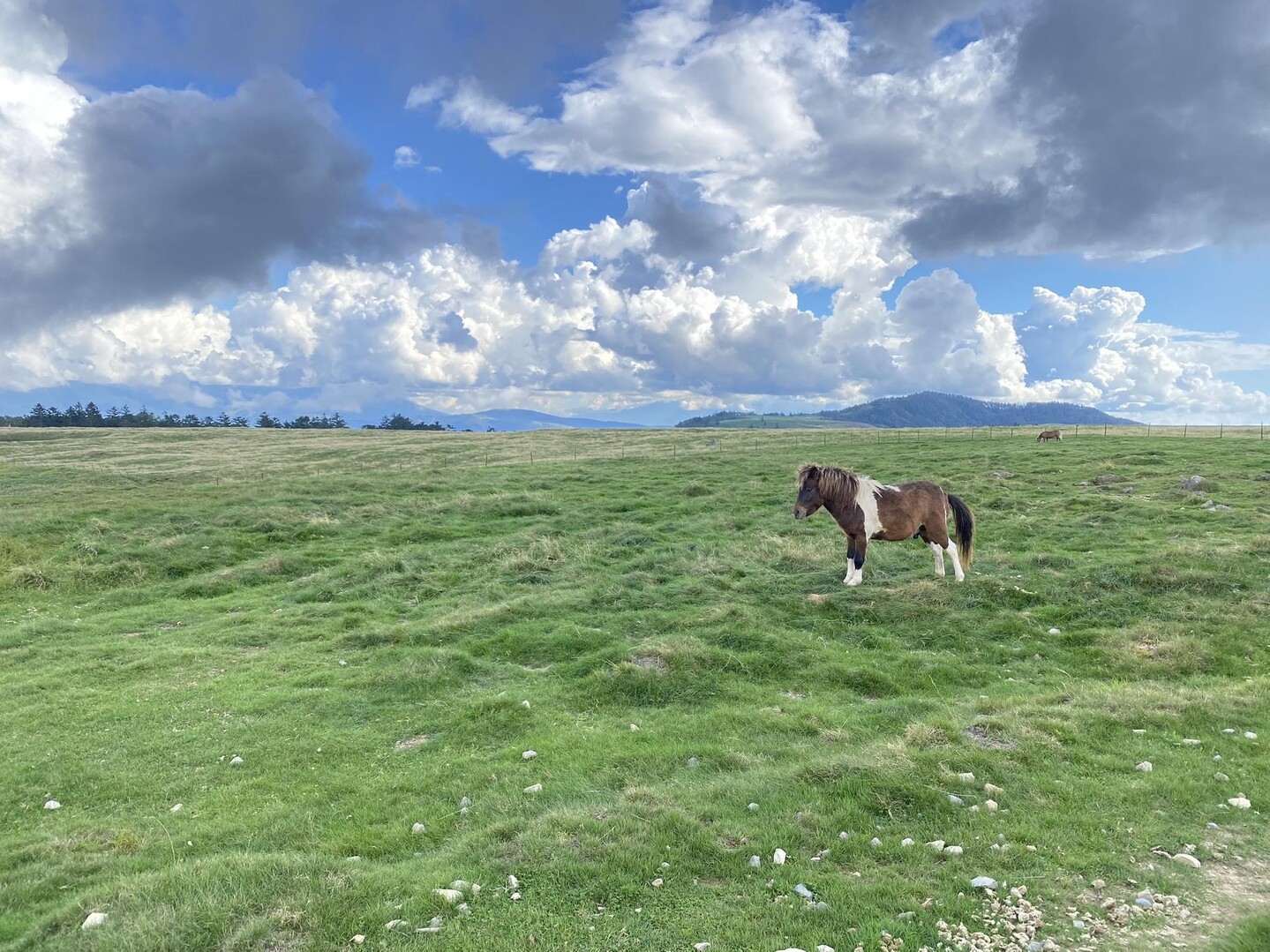 おかわり登山🐄美ヶ原 / Sawaさんの美ヶ原の活動データ | YAMAP / ヤマップ