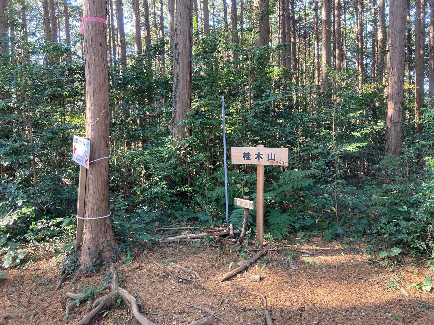 taoさんの投稿したフィールドメモ | YAMAP / ヤマップ