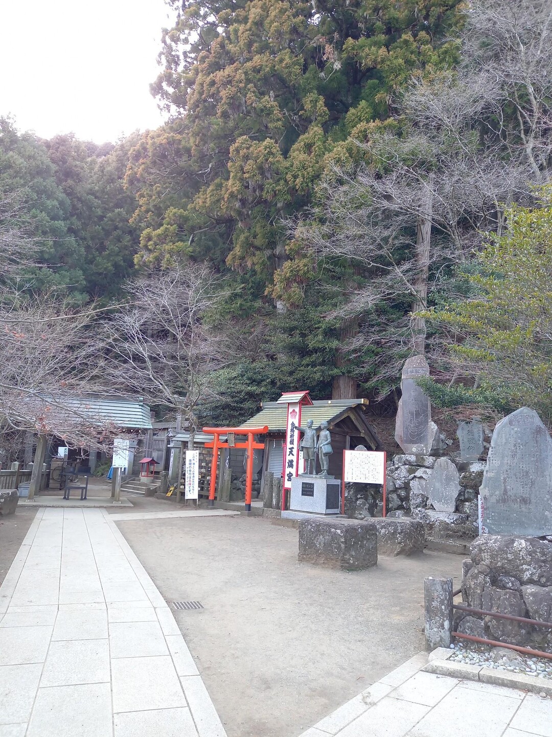 大山 / ayakootaさんの大山の活動データ | YAMAP / ヤマップ