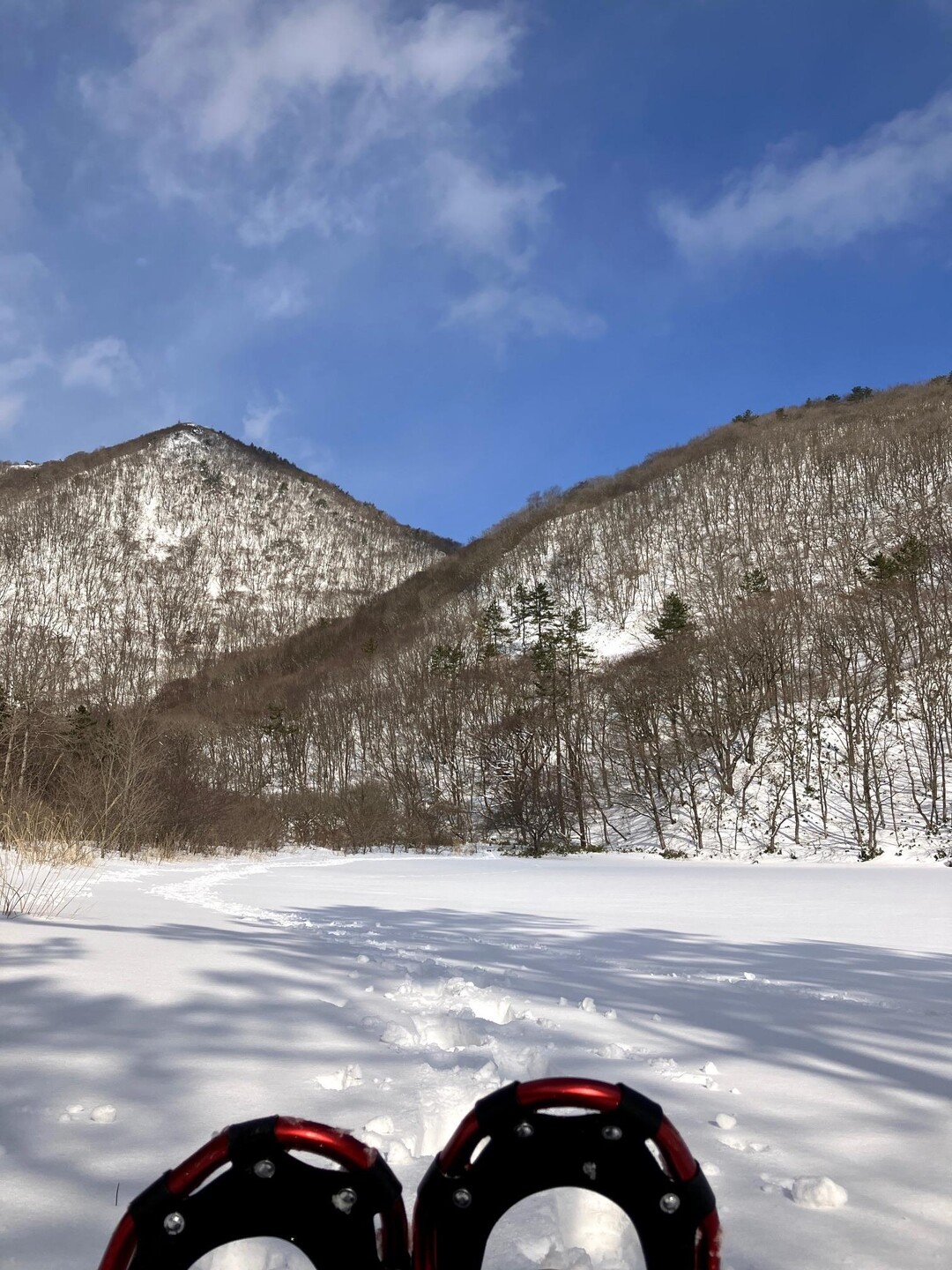 大平山 / iwaさんの三瓶山・大平山の活動データ | YAMAP / ヤマップ