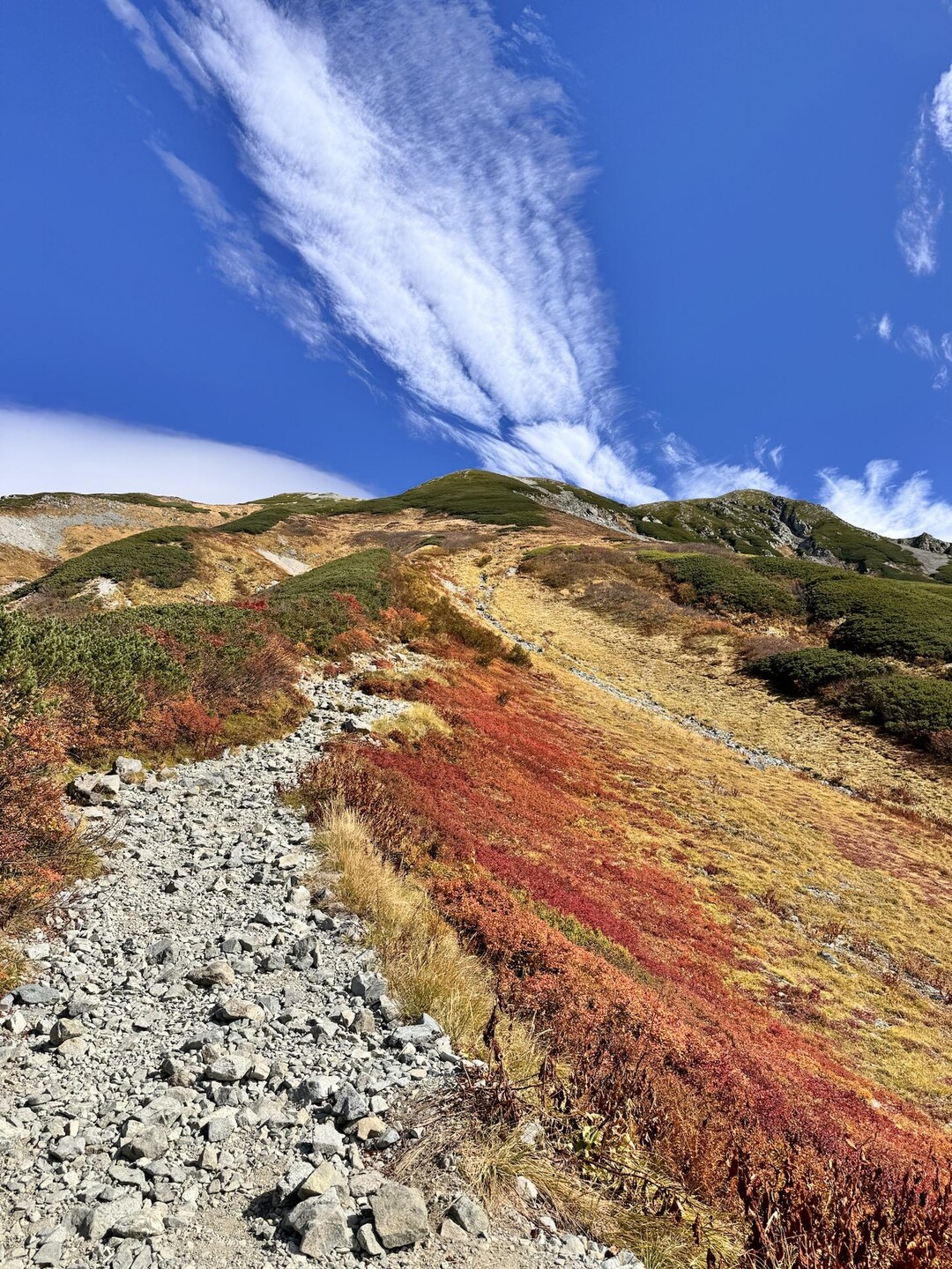 剱御前山・剱御前 / Ⓜ︎®️さんの立山・雄山・浄土山の活動日記 | YAMAP / ヤマップ