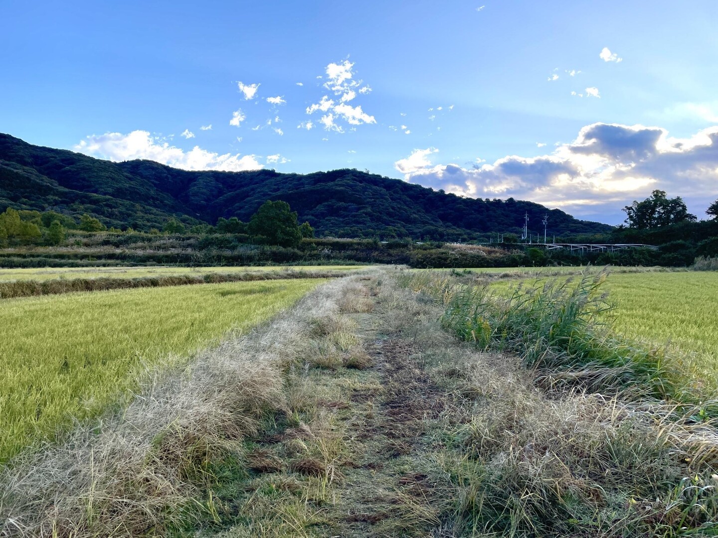 尖浅間山・宝篋山・鬼越山・小町山・富岡山 / shot.7898さんの宝篋山・富岡山の活動データ | YAMAP / ヤマップ