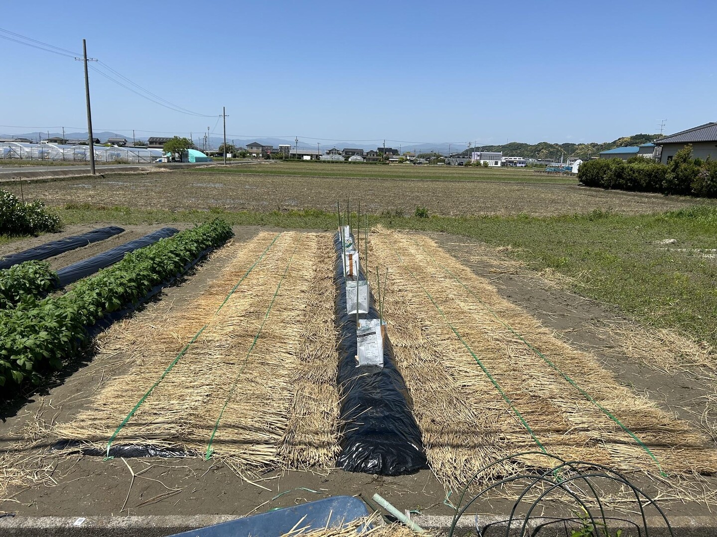 今日は畑仕事。#スイカ 🍉の苗の畝を作... / maruさんのモーメント | YAMAP / ヤマップ