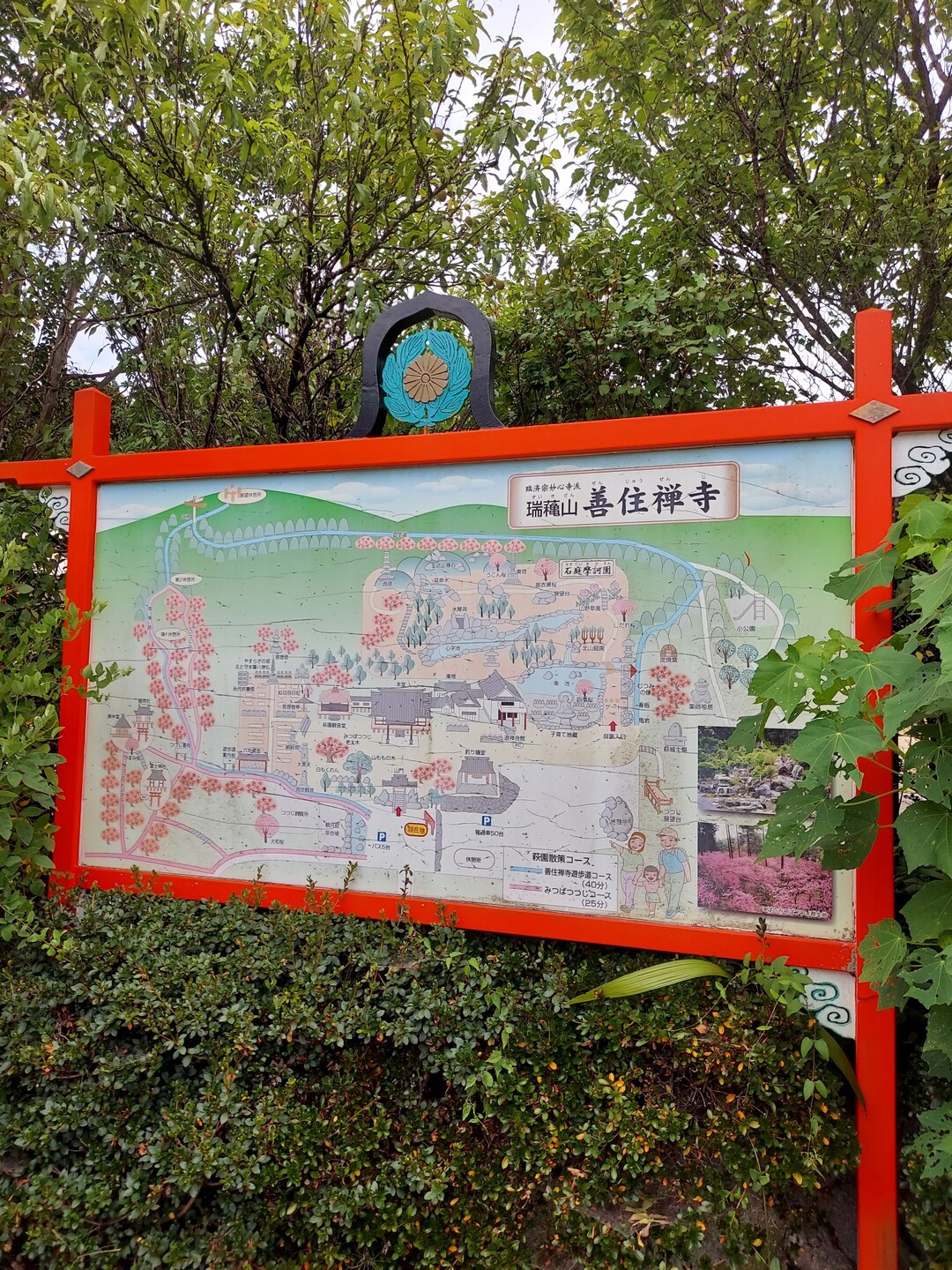 善住禅寺から背戸山へ。 距離も短いし迷子... / narukiyoさんのモーメント | YAMAP / ヤマップ