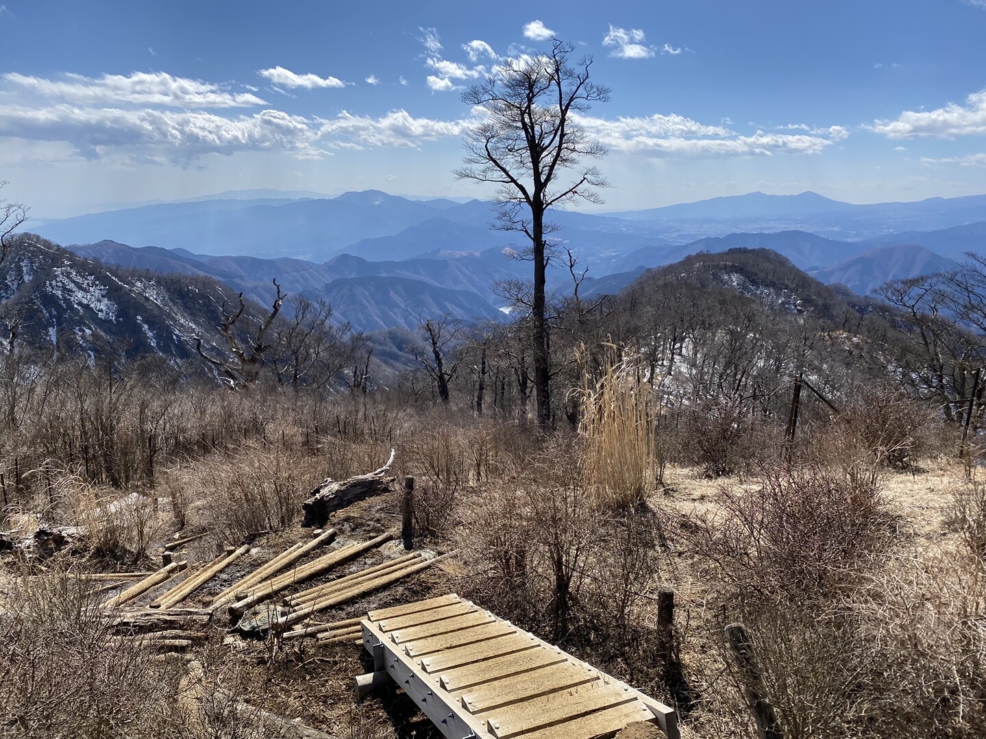 久々の山 久々に足が棒 / ryoさんのモーメント | YAMAP / ヤマップ