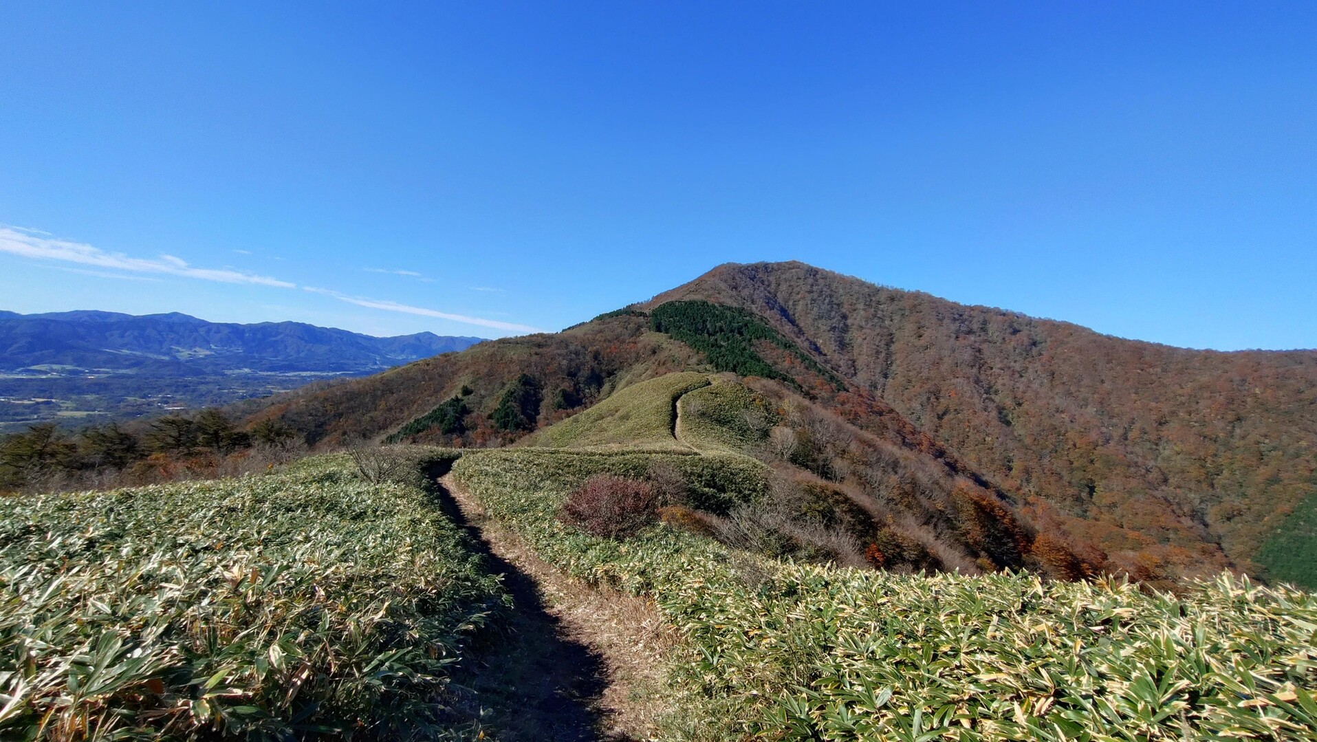 下蒜山・中蒜山 / matさんの蒜山の活動データ | YAMAP / ヤマップ