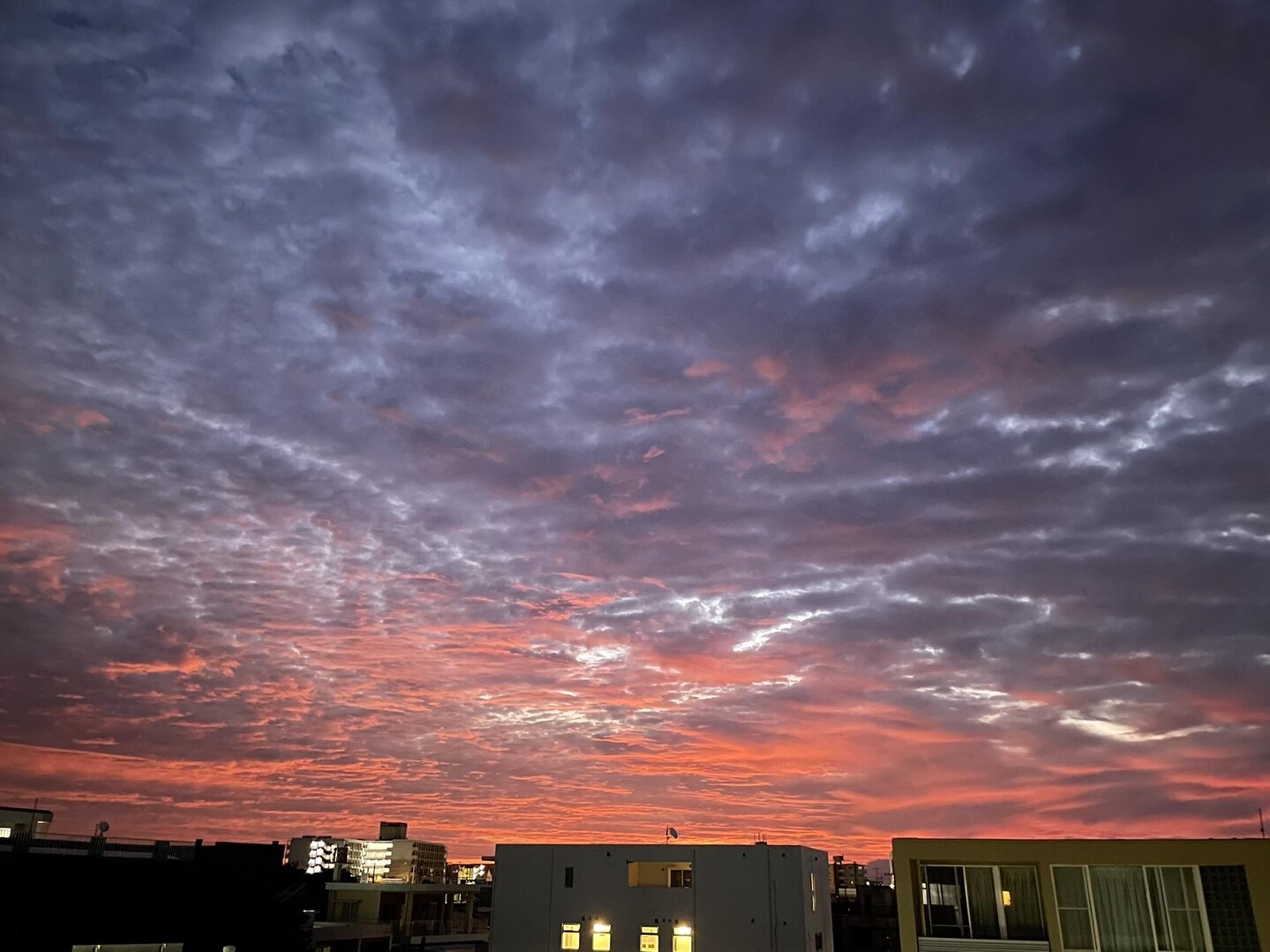 今日は見事な朝焼け！ と、日曜日にいた... / sae.irisさんのモーメント | YAMAP / ヤマップ