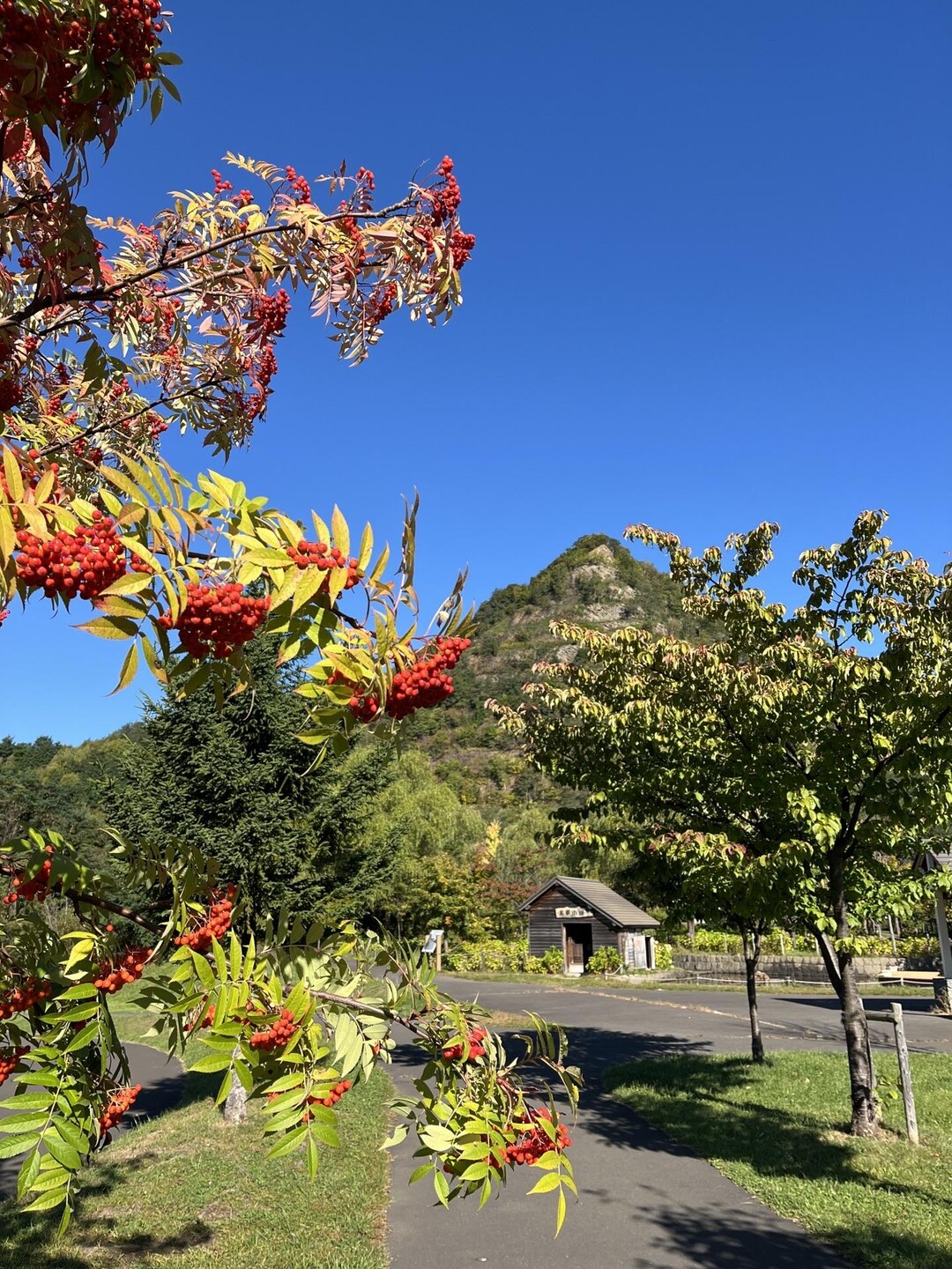 🔰五天山〜あさいち商店街後に、秋を楽しむ🍂 / AYAさんの三角山・大倉山・円山の活動データ | YAMAP / ヤマップ