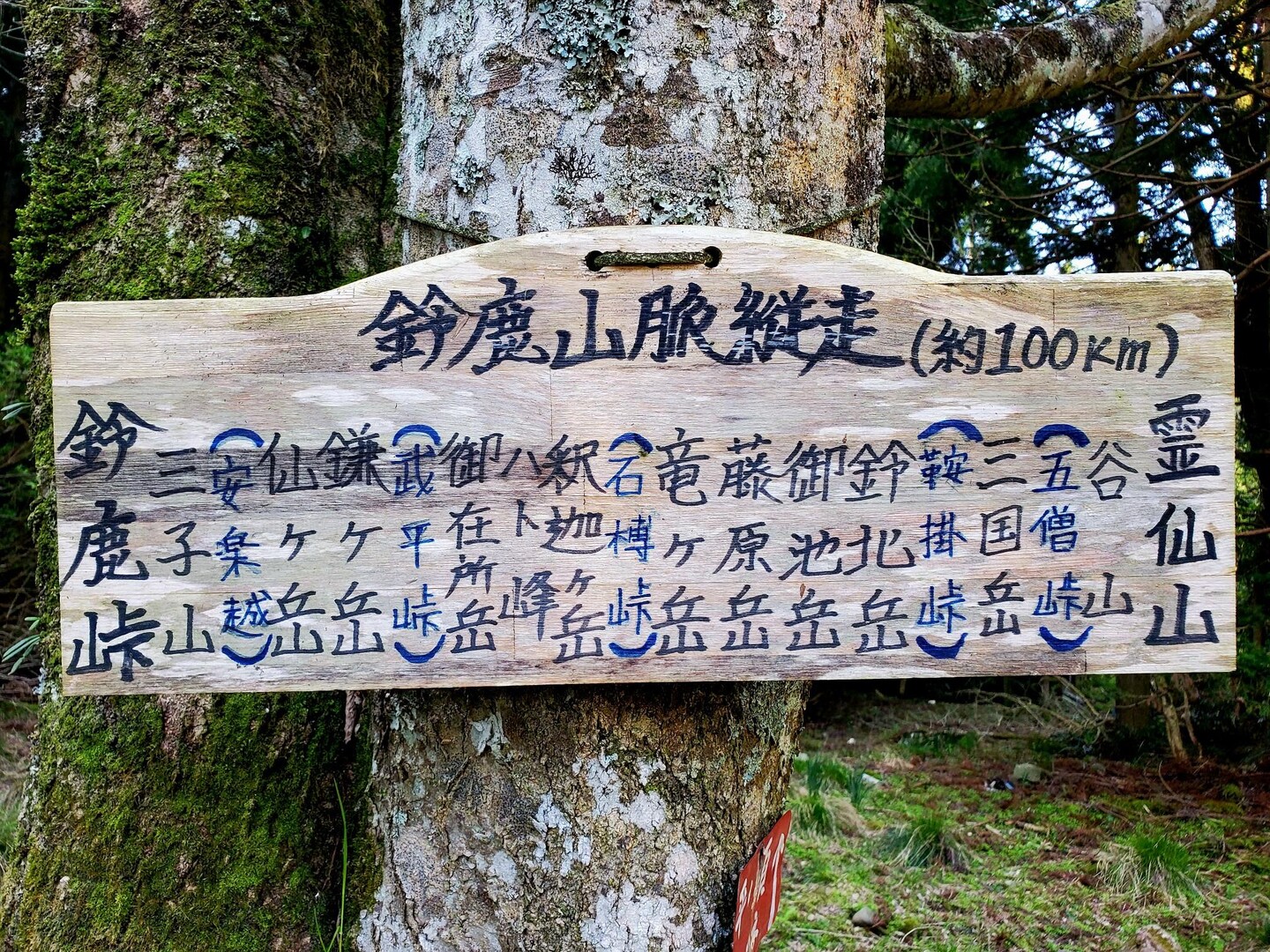 鈴鹿縦走100km(第2弾) / 🍒sa-ki🍒さんの霊仙山の活動データ | YAMAP / ヤマップ