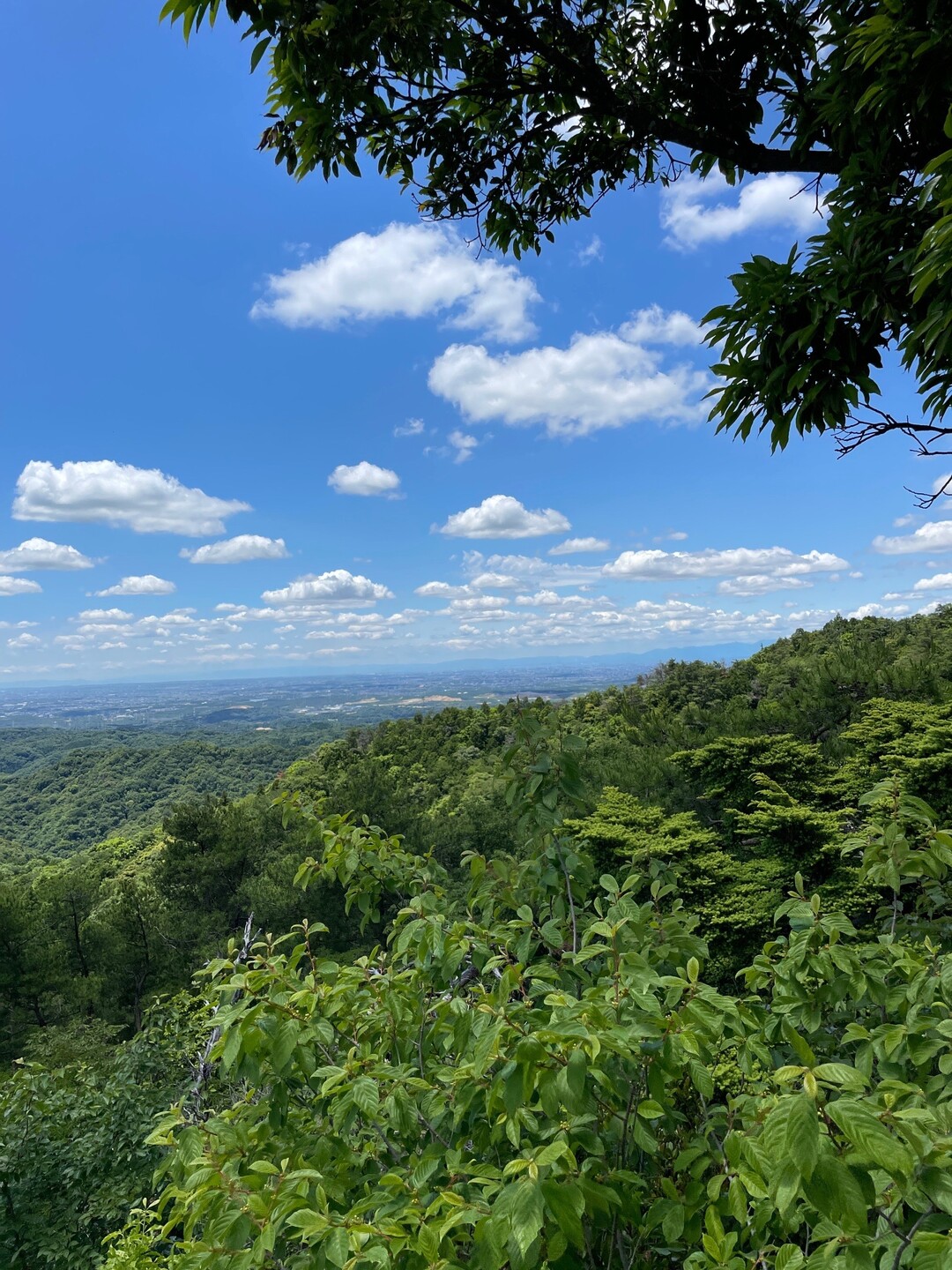 2022.06.08(水) 16:16 / ミーノ59さんのモーメント | YAMAP / ヤマップ