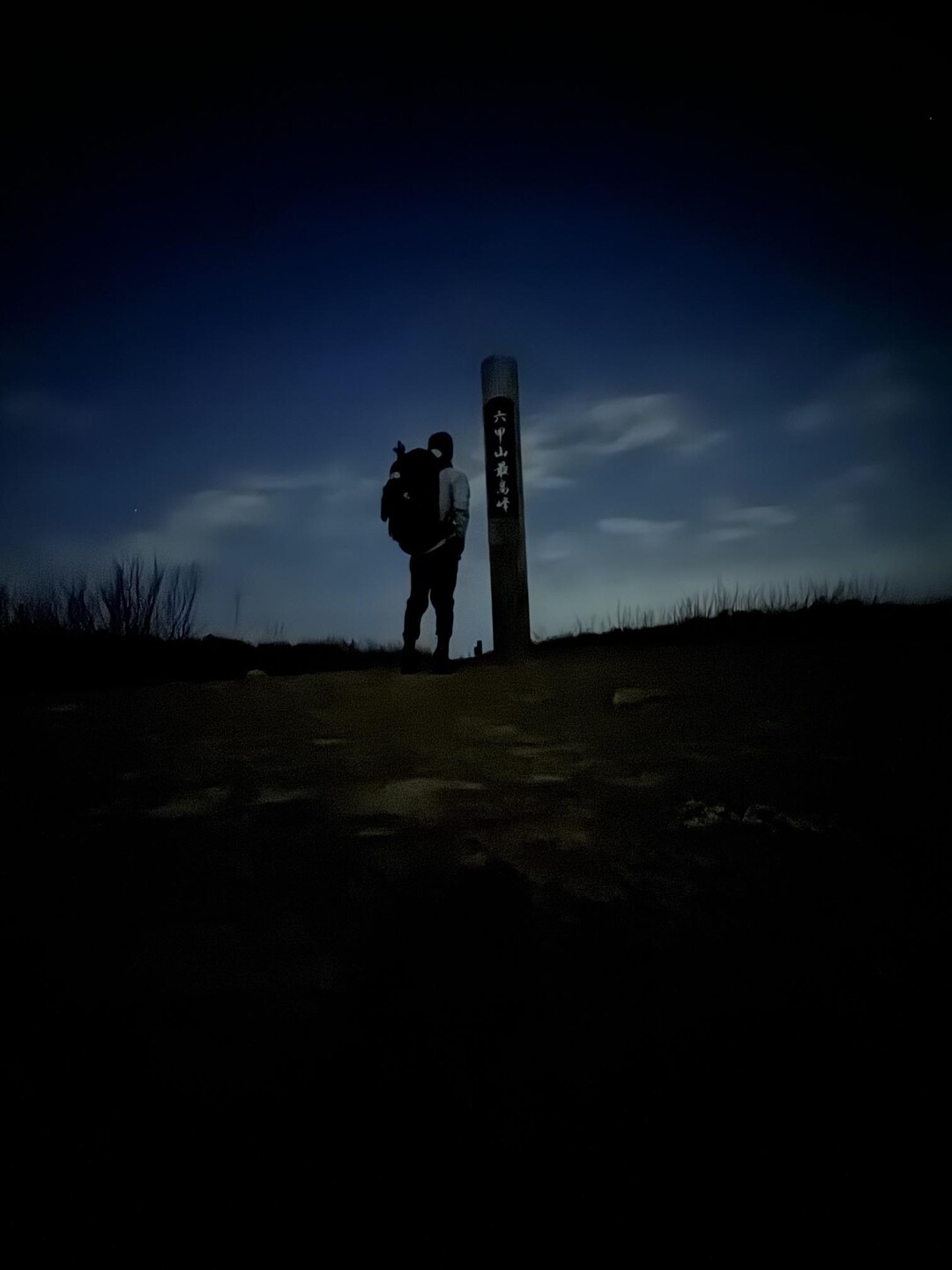 虫地獄。 / yskさんの六甲山・長峰山・摩耶山の活動データ | YAMAP / ヤマップ