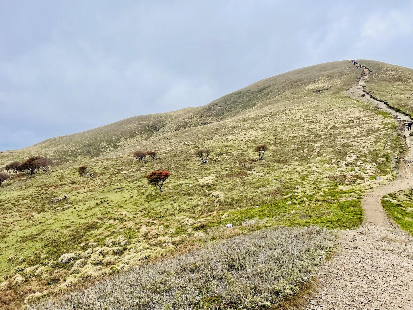竜ヶ岳 遠足尾根ルート / tymr_phさんの竜ヶ岳の活動データ | YAMAP / ヤマップ