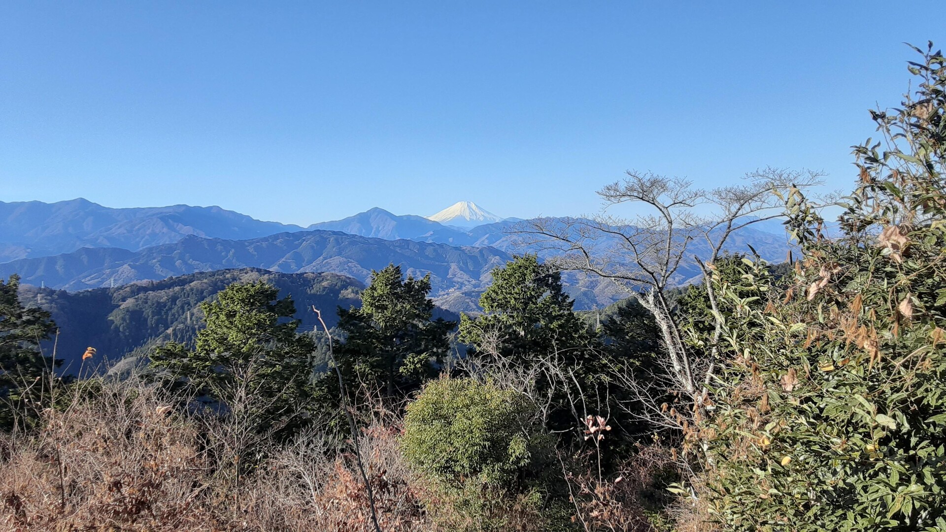 明けましておめでとうございます🐲 高尾... / Kyuri_EXさんのモーメント | YAMAP / ヤマップ