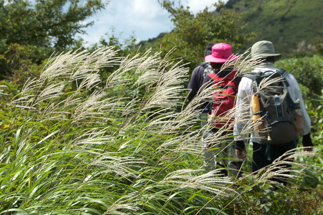 道後山・岩樋山（5） / Kanameさんの道後山・岩樋山の活動データ | YAMAP / ヤマップ