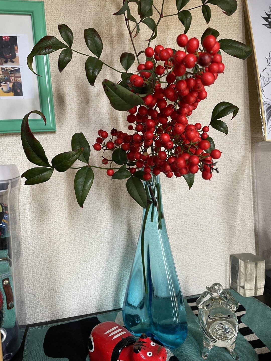 我が家の南天随分と赤い実が垂れ下がってき... / hakuzanさんのモーメント | YAMAP / ヤマップ