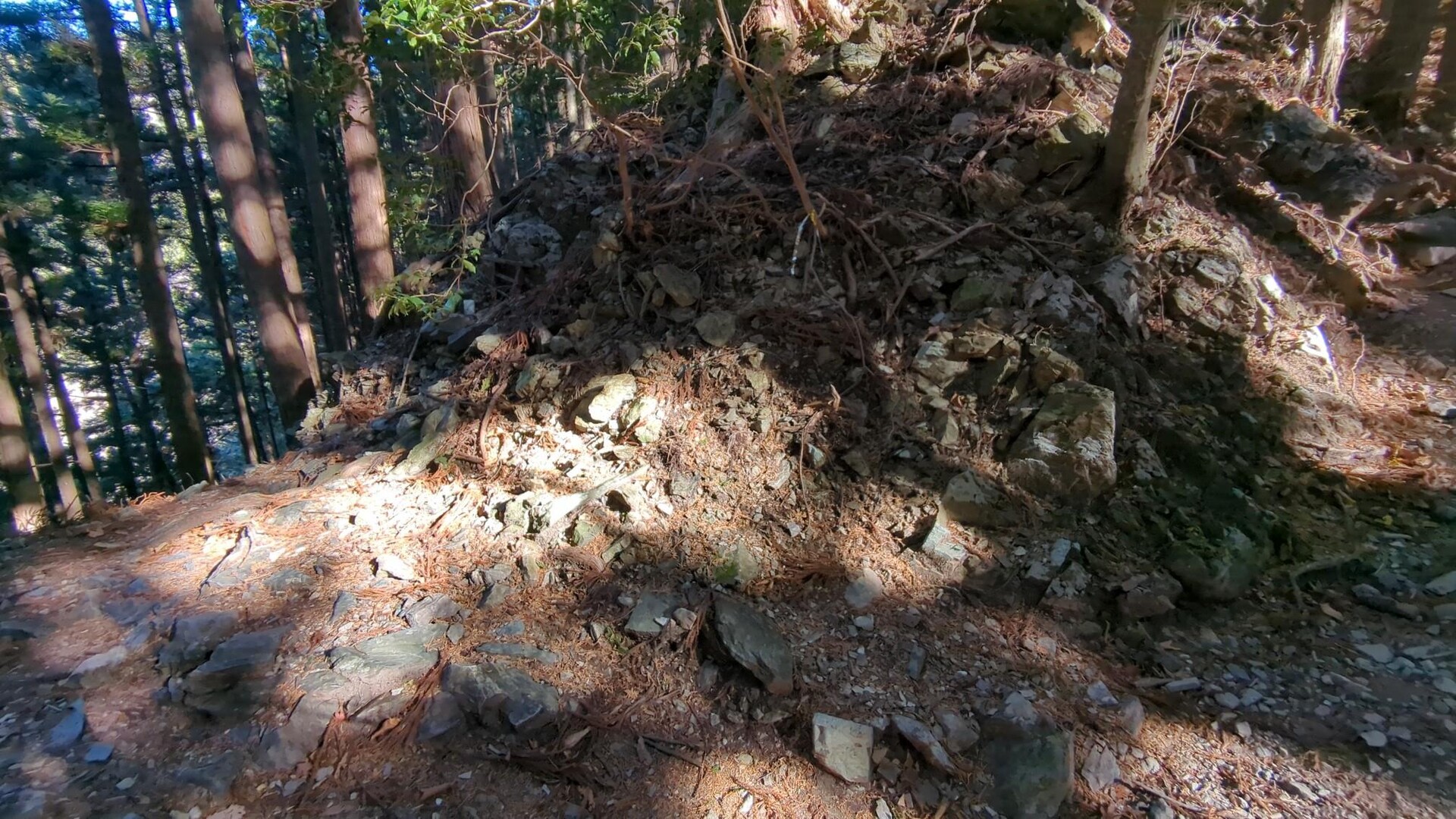 pitoring_さんの投稿したフィールドメモ | YAMAP / ヤマップ