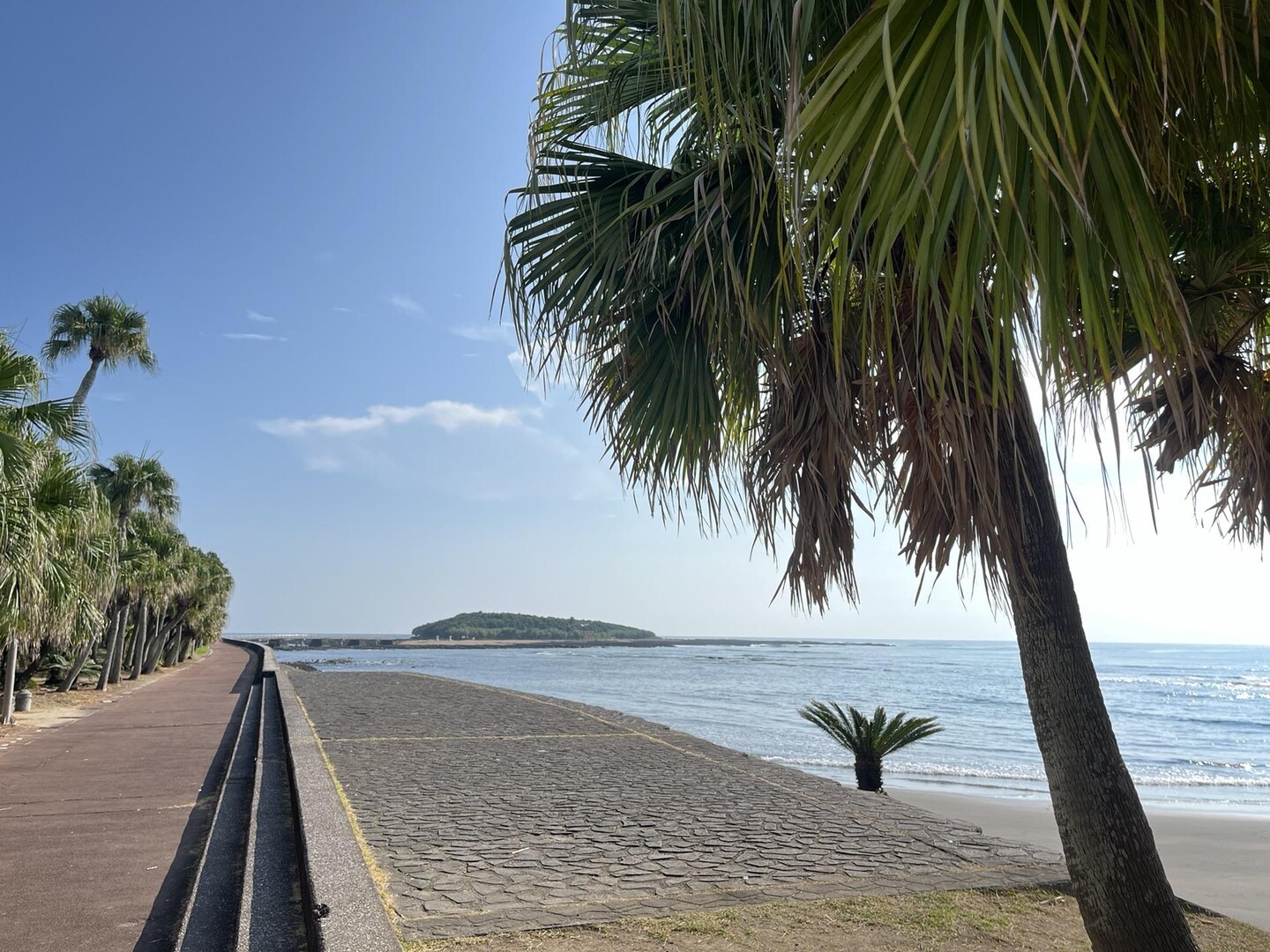 ランニング-2024-08-15 / MADさんのランニングの活動データ | YAMAP / ヤマップ