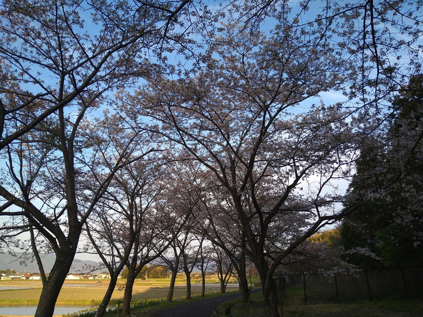 Shinyaのページ | YAMAP / ヤマップ