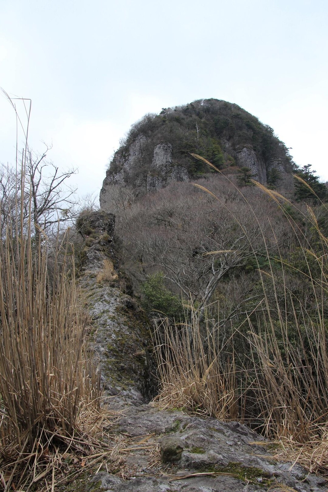 一ノ岳・二ノ岳・鷹ノ巣山（三の岳）のガシガシ岩登り / じゃまさんの英彦山の活動データ | YAMAP / ヤマップ