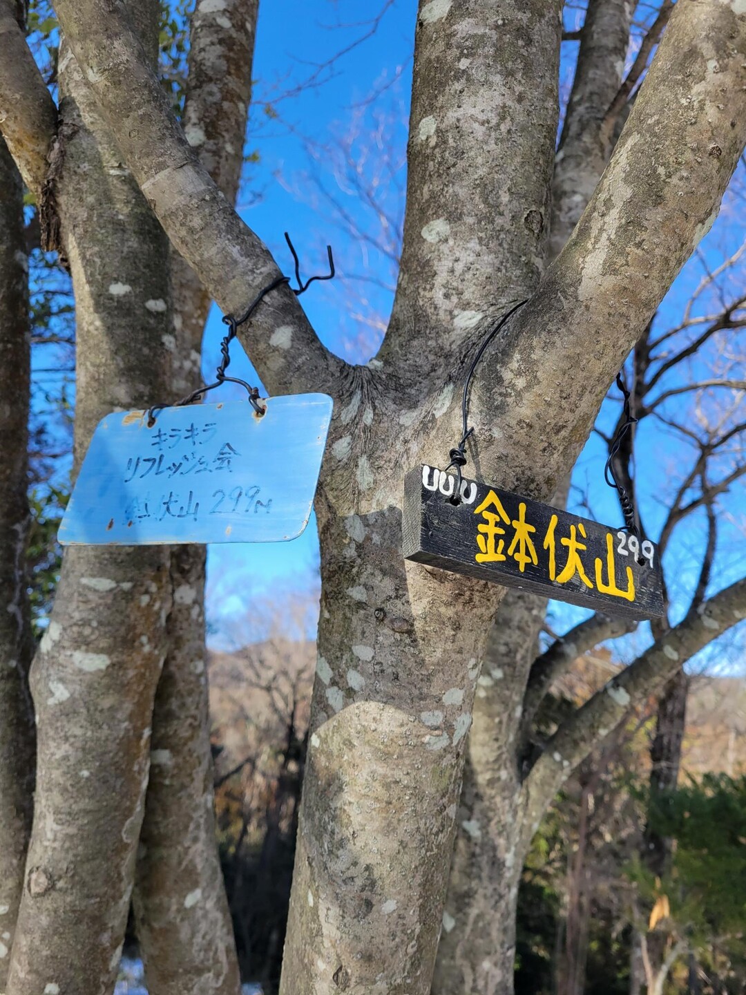 鉢伏山(2回目) / Mika🔰さんの竜王山・阿武山の活動データ | YAMAP / ヤマップ