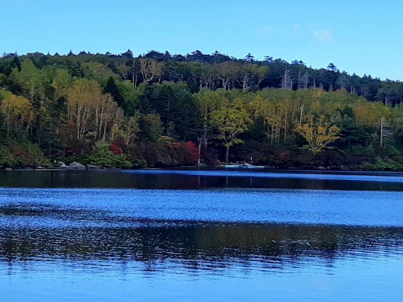 緑 池に トレッキングに 出かけた 帰り... / Heroさんのモーメント | YAMAP / ヤマップ