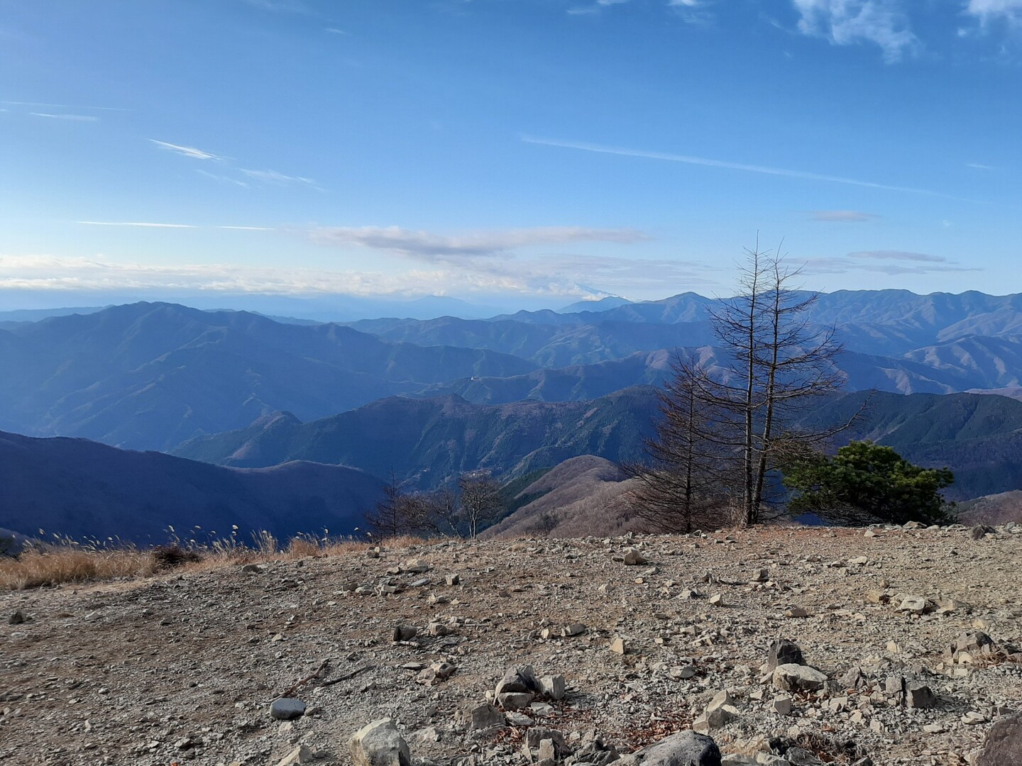 Minoruさんの投稿したフィールドメモ | YAMAP / ヤマップ