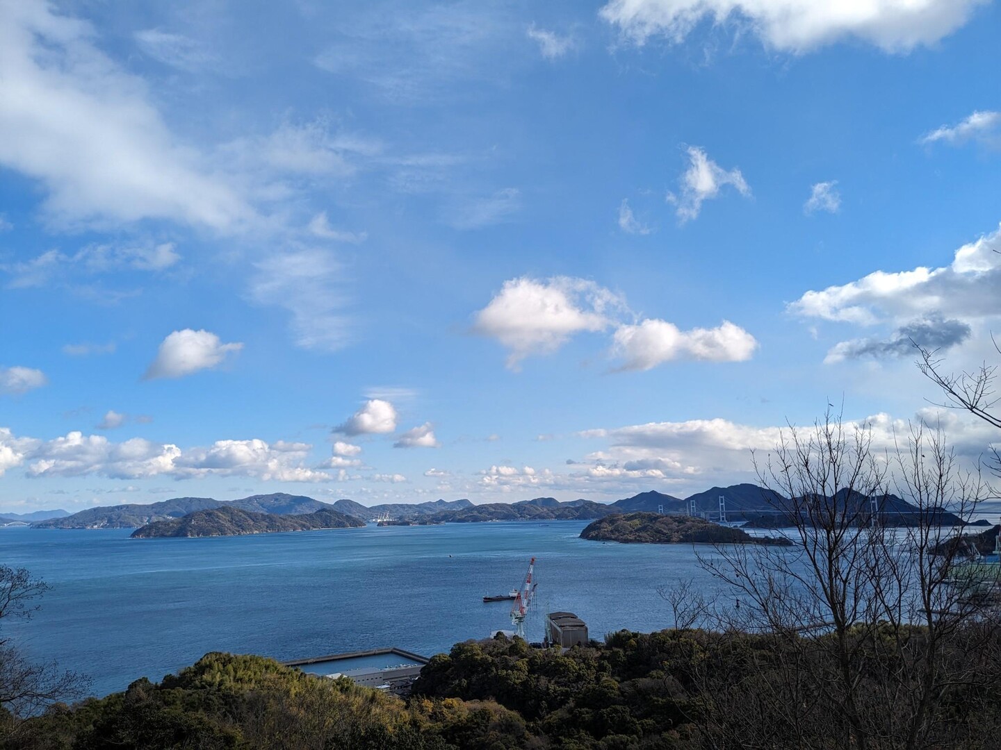 塔ノ峰までﾗﾝﾆﾝｸﾞ🏃 / w-miさんの弁天山の活動データ | YAMAP / ヤマップ