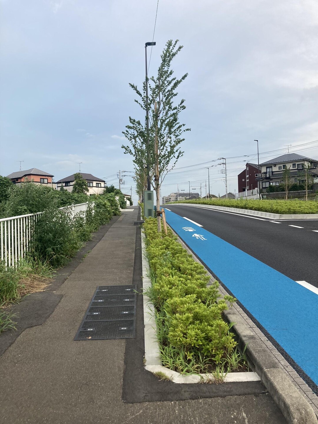 slow jogging / 加桜里さんのランニングの活動データ | YAMAP / ヤマップ