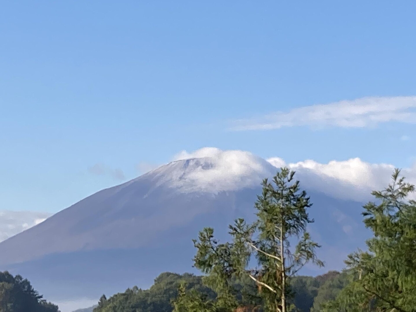 221019チャウ&イーワテ＠iwat / yellowさんのモーメント | YAMAP / ヤマップ