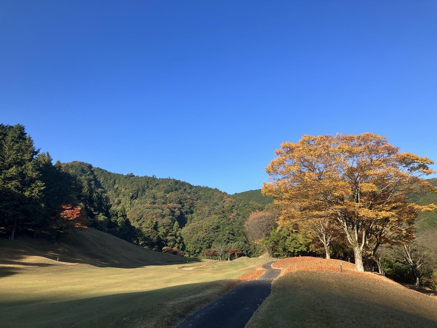 11月8日、会社の親睦コンペで栃木のノー... / モコさんのモーメント | YAMAP / ヤマップ